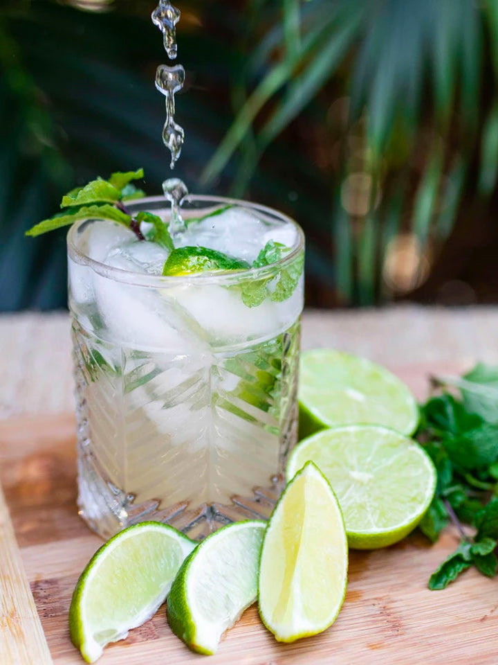 Miami Mojito Cocktail Recipe – Ana Quincoces - Skinny Latina